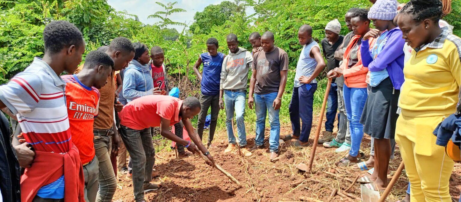 Indigenous Information Network – Indigenous Information Network