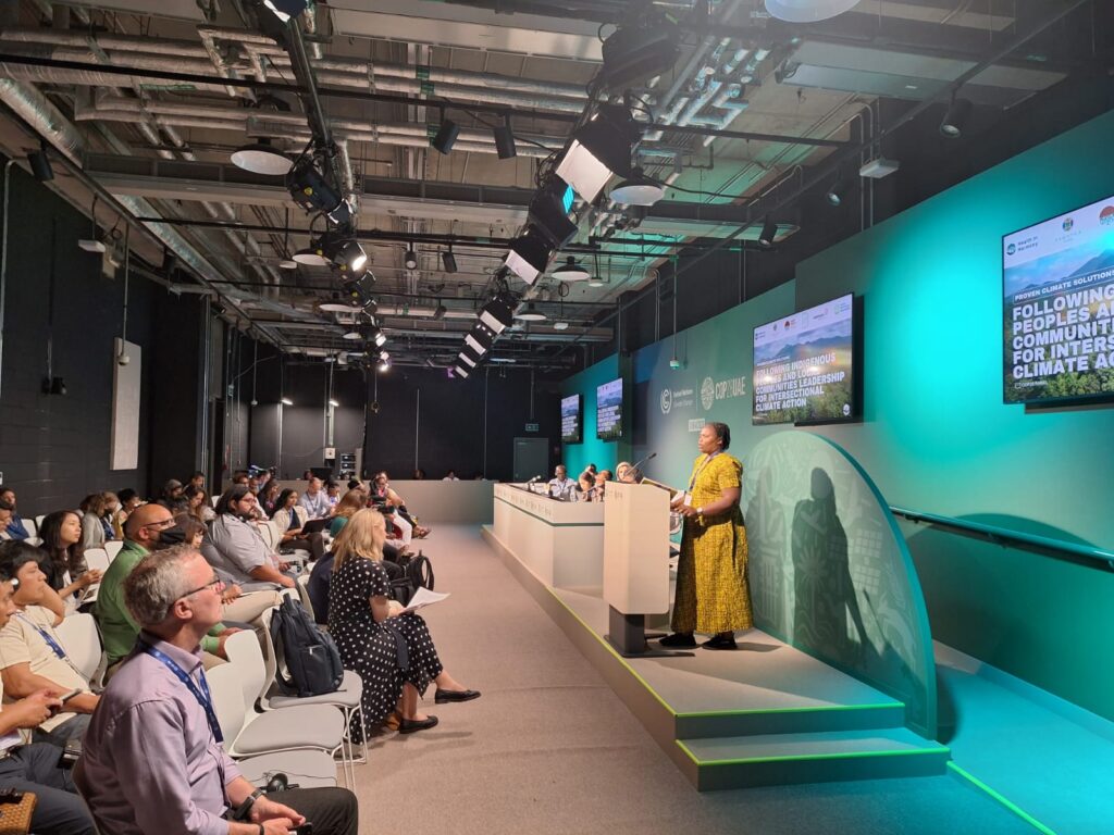 Indigenous Information Network – Indigenous Information Network